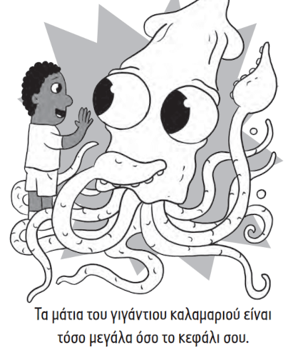 Τι λες τώρα;! Για σένα… που θέλεις να τα ξέρεις όλα (7 ετών) - Book&Play