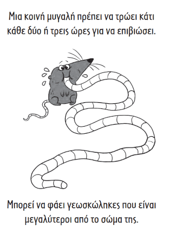Τι λες τώρα;! Για σένα… που θέλεις να τα ξέρεις όλα (7 ετών) - Book&Play